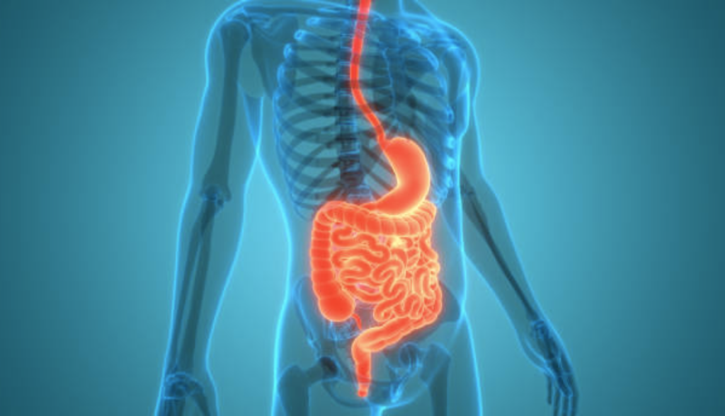 External - Launceston Gastroenterology - Dr Scott Fanning